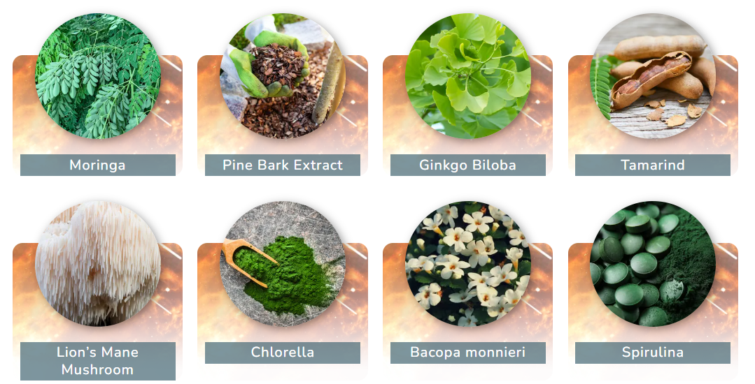 NeuroPrime Reviews - Is It Worth Buying? User Opinion!